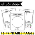 Color White Worksheets and Activities - Color Identification – Teacher ...